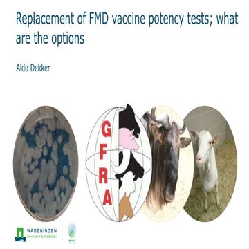 A. Dekker - Replacement of FMD vaccine potency tests: What are the ...