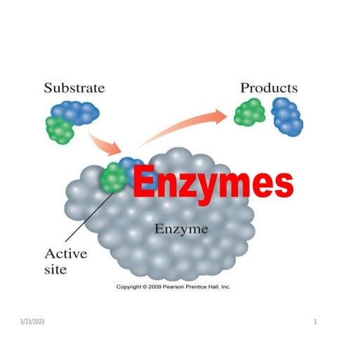 01.Enzyme.pptx | Chemistry | Science