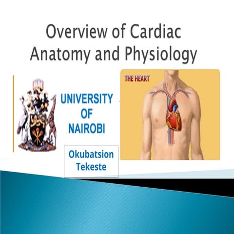 Structure and function of heart by Shashank Bandre Class 10 CBSE | PPTX