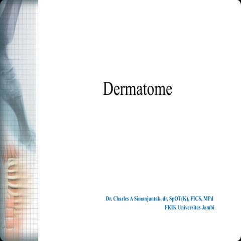01.Dermatome_Tubuh-2016 ppt terbaru.pptx
