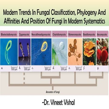 Modern Trends In Fungal Classification, Phylogeny.pptx