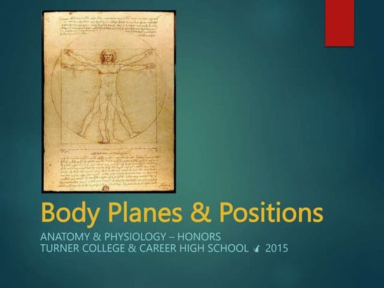 Anatomical planes & cavities | PPTX
