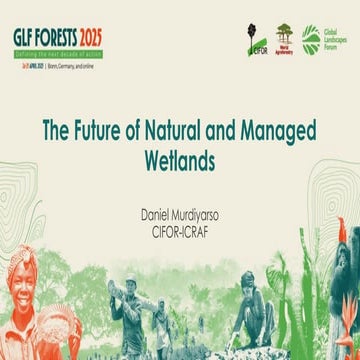 The Future Natural and Managed Wetland – GLF Forests 2025– GLF Forests ...