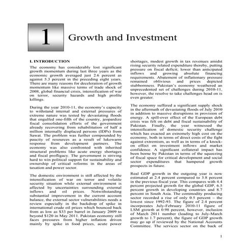 01 growth and investment | PDF