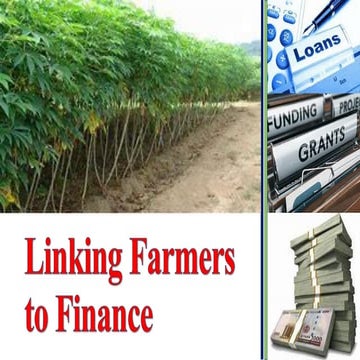 01-Linking Farmers to Finance Upstream).pdf
