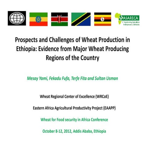 Prospects and Challenges of Wheat Production in Ethiopia: Evidence from ...