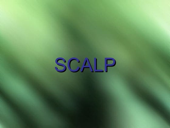 Scalp | PPTX
