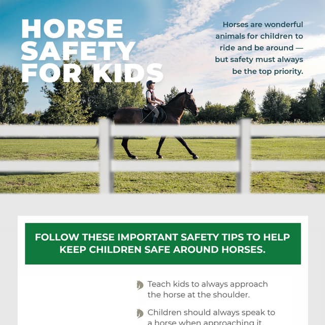 Horse Safety For Kids | PDF