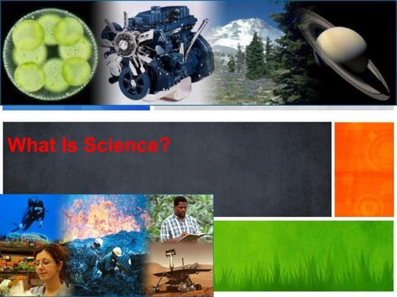 The-Wonderful-World-of-Science samyans academy 6th science curiosity | PDF
