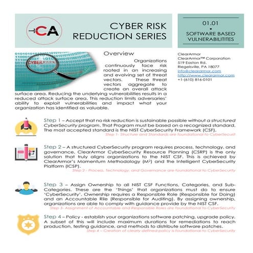 Software Vulnerabilities Risk Remediation Pdf