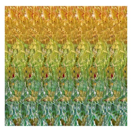 LEAD Stereograms Posters | PDF