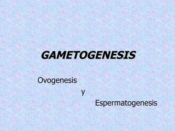 Gametogenesis | PPTX | Infertility | Reproductive Health