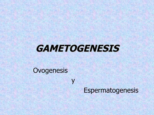 Gametogenesis | PPTX