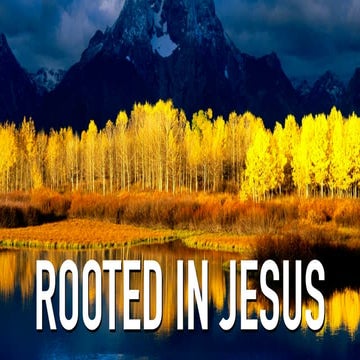 Why We Need to Be Rooted in Jesus | PDF
