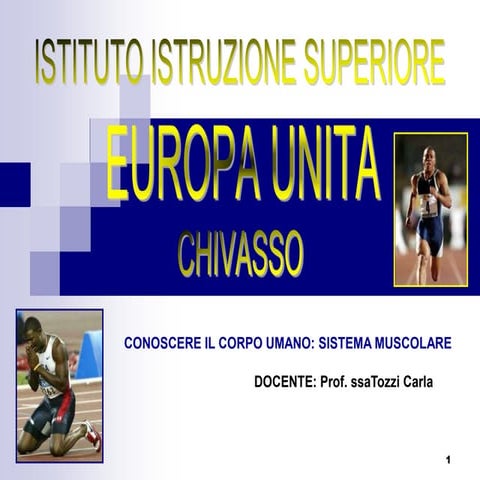 SISTEMA MUSCOLARE | PPT