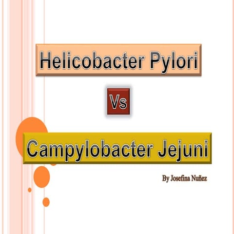 H-PYLORI Vs CAMPILOBACTER JENUNI | PPTX
