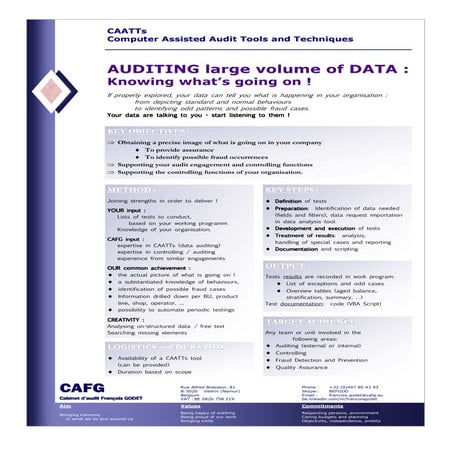 CAAT - Data Analysis and Audit Techniques | PDF
