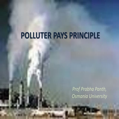 0 12 polluter pays principle | PPSX