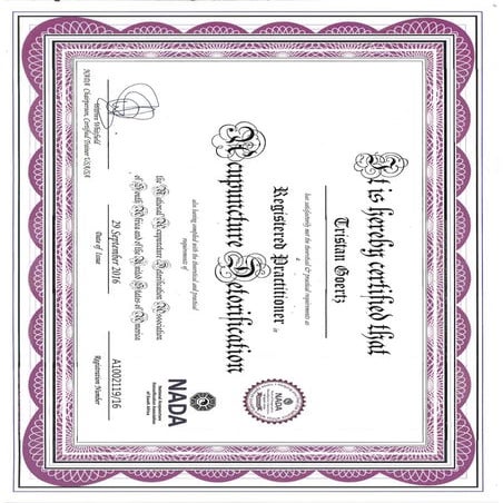 TG N3 Certificate | PDF