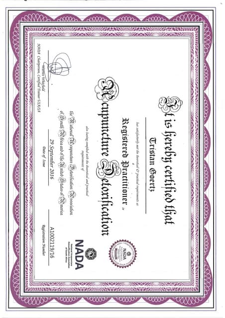 TG N3 Certificate | PDF
