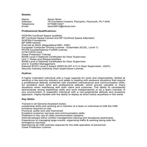 Aaron Brian CV | PDF