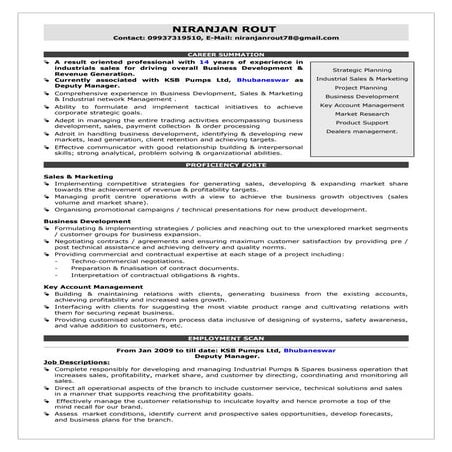 CV_Niranjan_ Rout. | PDF