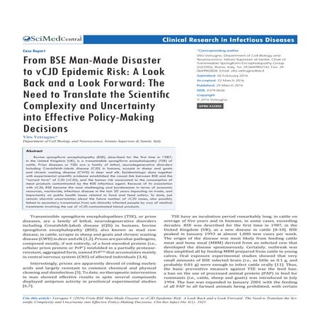 TSE/BSE Evaluation | PPTX