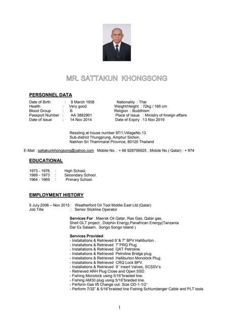 Andryanto - CV | PDF