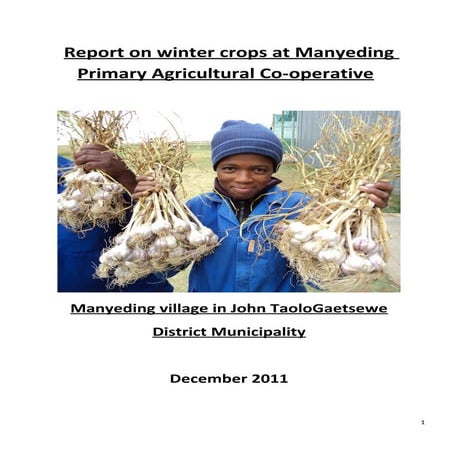 Report on winter crops at Manyeding Primary Agricultural Co-oprative | PDF