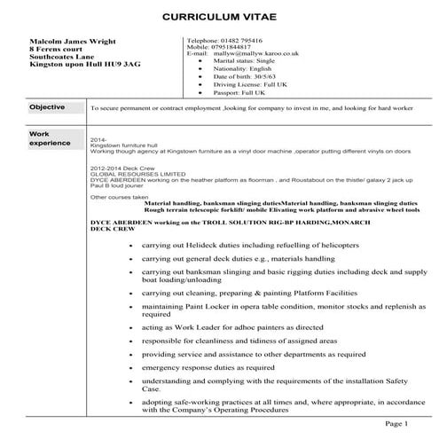CV | DOCX