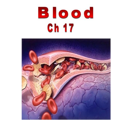 Erythropoiesis: red blood cell production.ppt