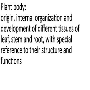 01b- Plant body- origin & internal organization.pptx