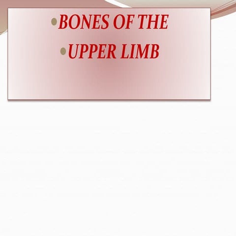 Radius bone anatomy | PPTX