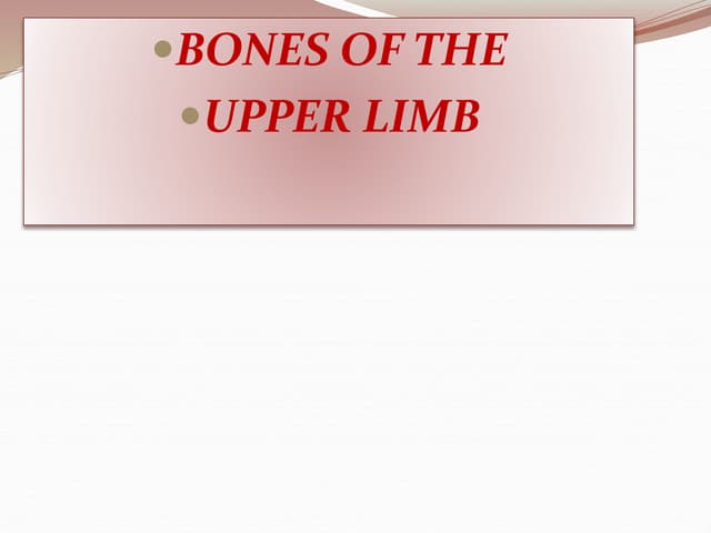 Radius bone anatomy | PPTX | Death, Injury, or Military Conflict ...