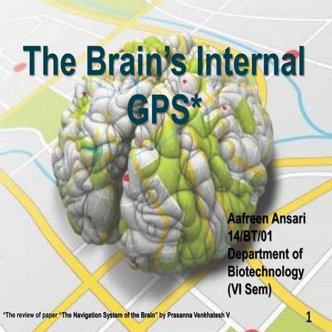 The Brain GPS System | PPTX