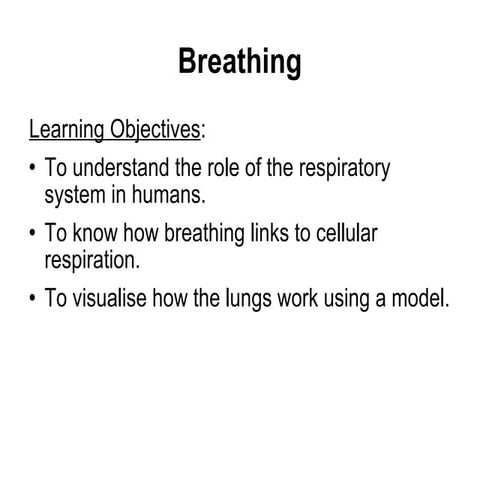Y8 Humans 01 breathing | PPT