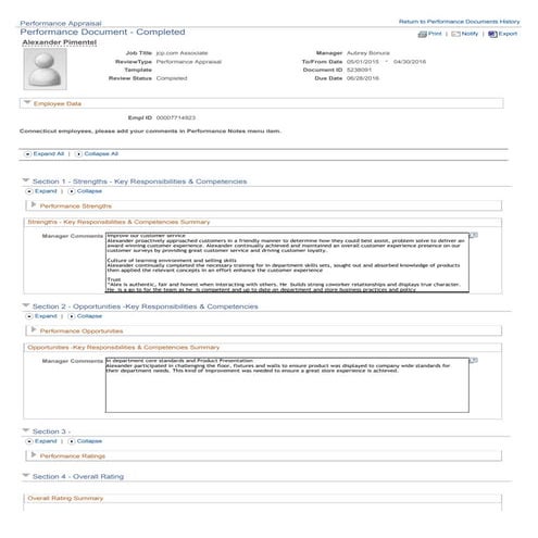 Alexander Performance Review | PDF