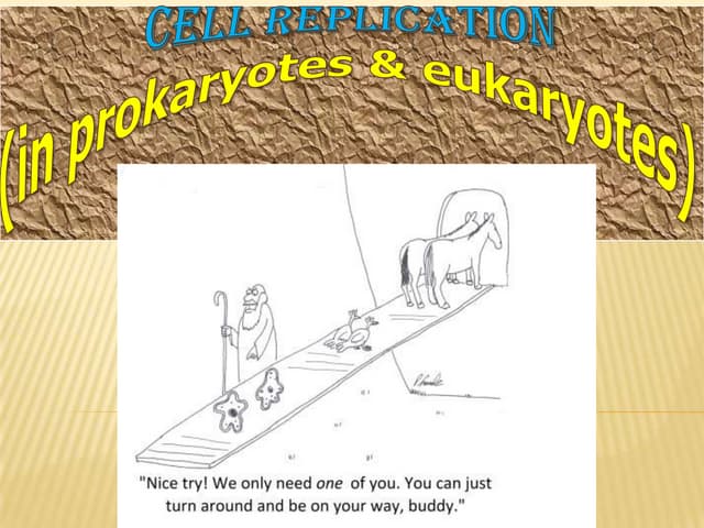 Mitosis Notes 7th grade level | PPT