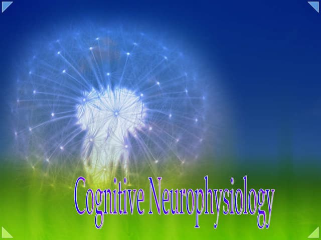 Introduction To Neuroscience | PPT