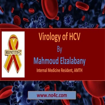 Virology of HCV | PPT