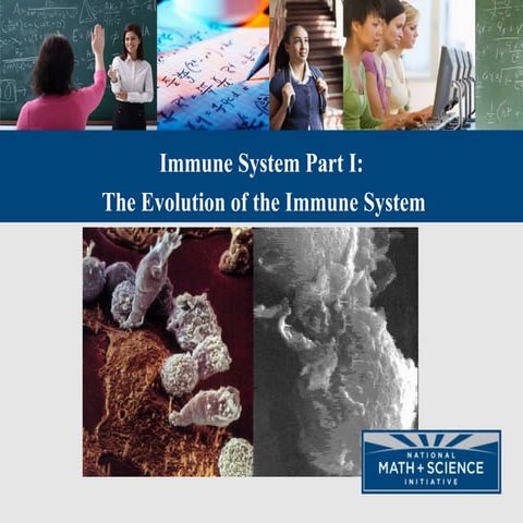 Evolution of the Immune System.pptx