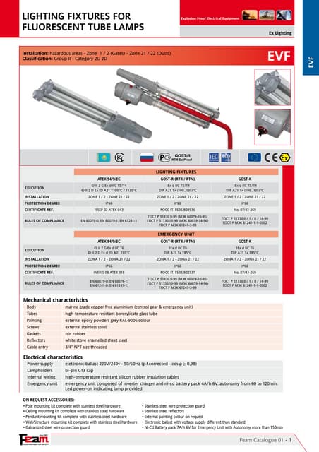 Explosion Proof Lighting - FSE SAFE PTE LTD | PDF