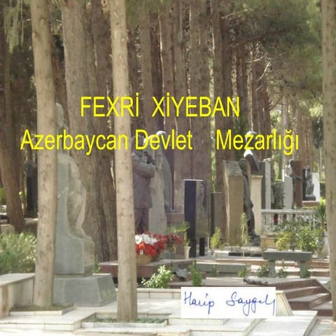 01 fexri xiyaban | PPT