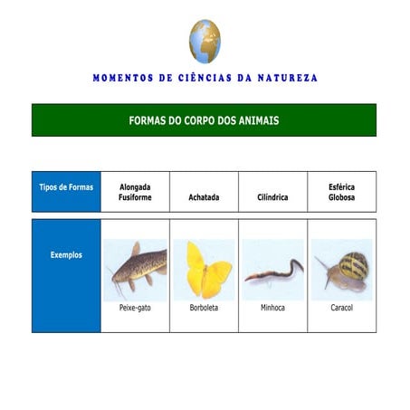 01 formas animais=cm | PDF
