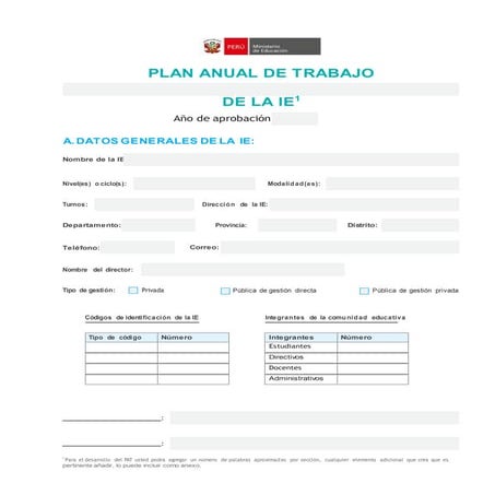 01 formato plan anual de trabajo ie convertido | DOCX
