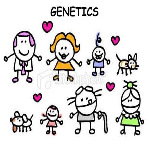 01 genetics version 2 | PPT