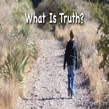 What is Truth? | PDF
