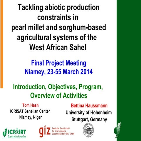 Tackling abiotic production constraints in pearl millet and sorghum-based agricultural systems ...