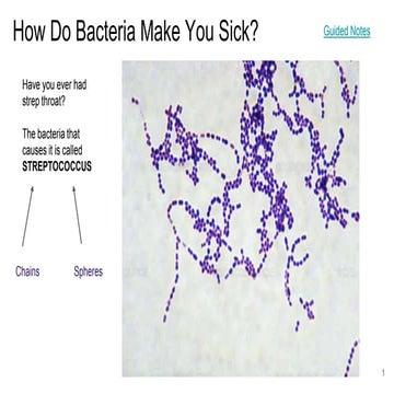 01 How Do Bacteria Make You Sick.pptx