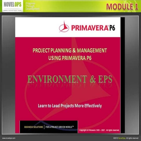 P6 Environment & Orientation | PDF | Power and Energy Industry | Industries